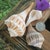 Sunray Venus Shells, Size Giant 4.5 5.5 per 6 Shells Florida Gulf Coast ...