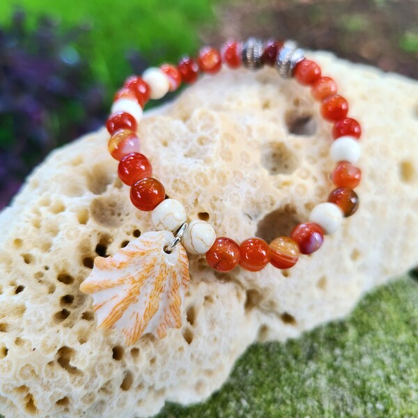 Kitten Paw Shells - Etsy