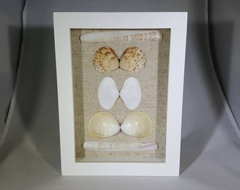 Seashell shadow box | Etsy