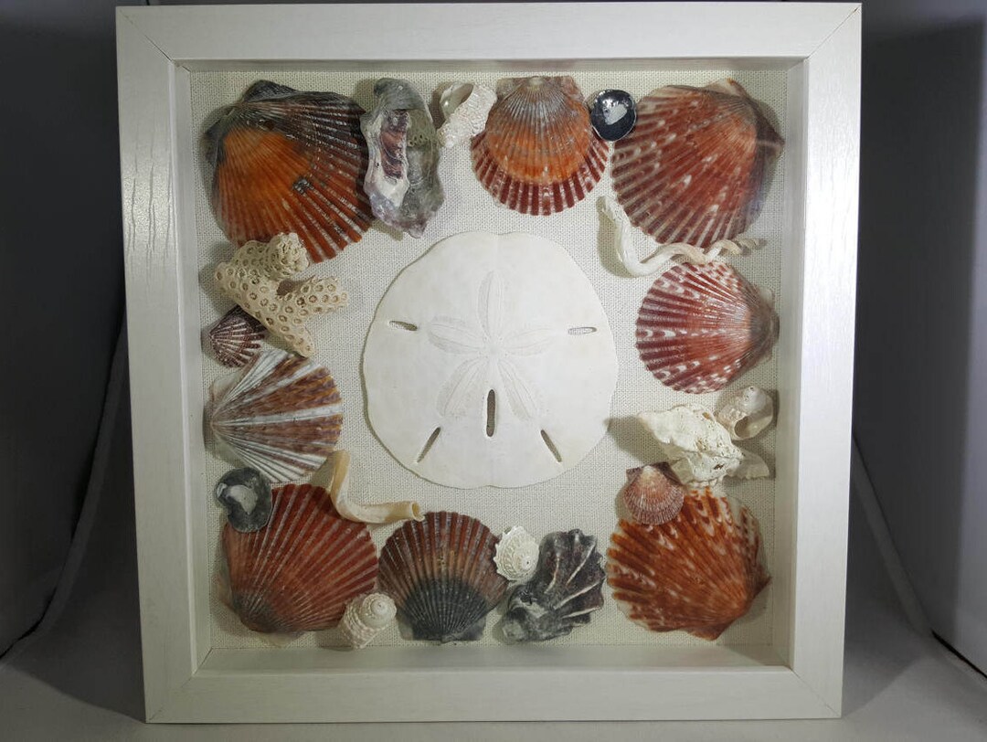 Scallop Sunset - Seashell Shadow Box - Mermaid Sand Dollar Beach Decor ...