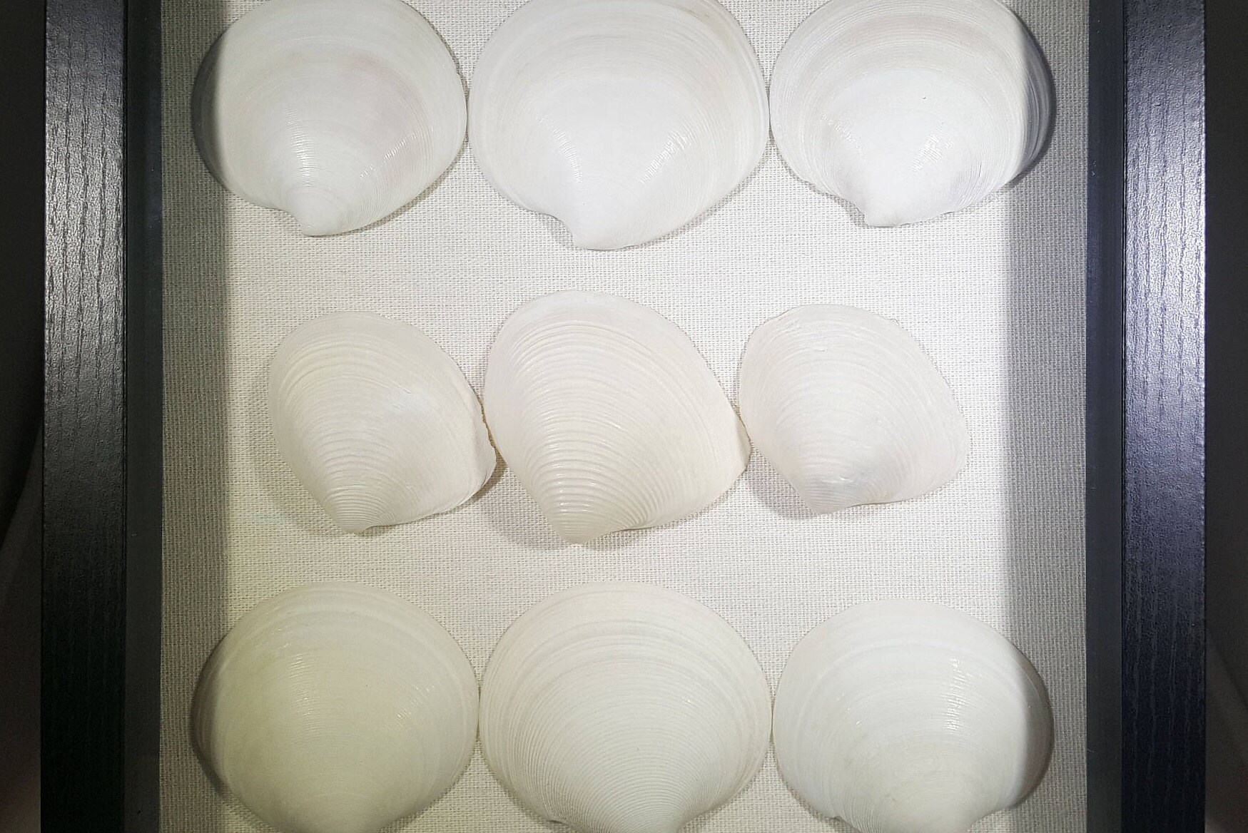 Ducks in a Row Seashell Shadow Box Mermaid Florida Beach - Etsy