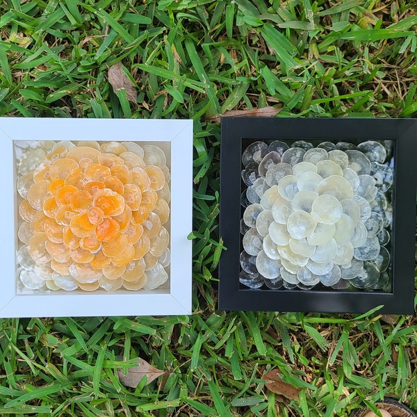 Shadow Box Beach - Etsy