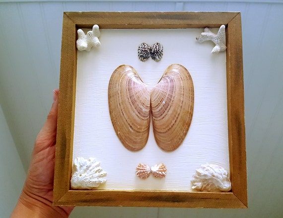 Sunray Angel 3D Seashell Home Accent Florida Gulf Coast | Etsy