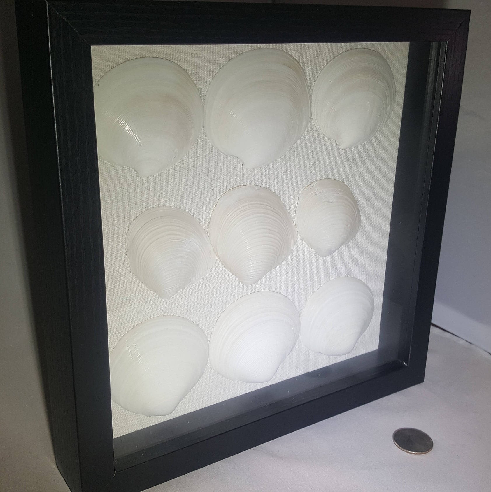 Ducks in a Row Seashell Shadow Box Mermaid Florida Beach - Etsy
