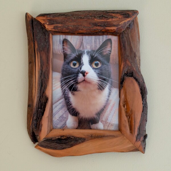 Diamond Willow - Etsy