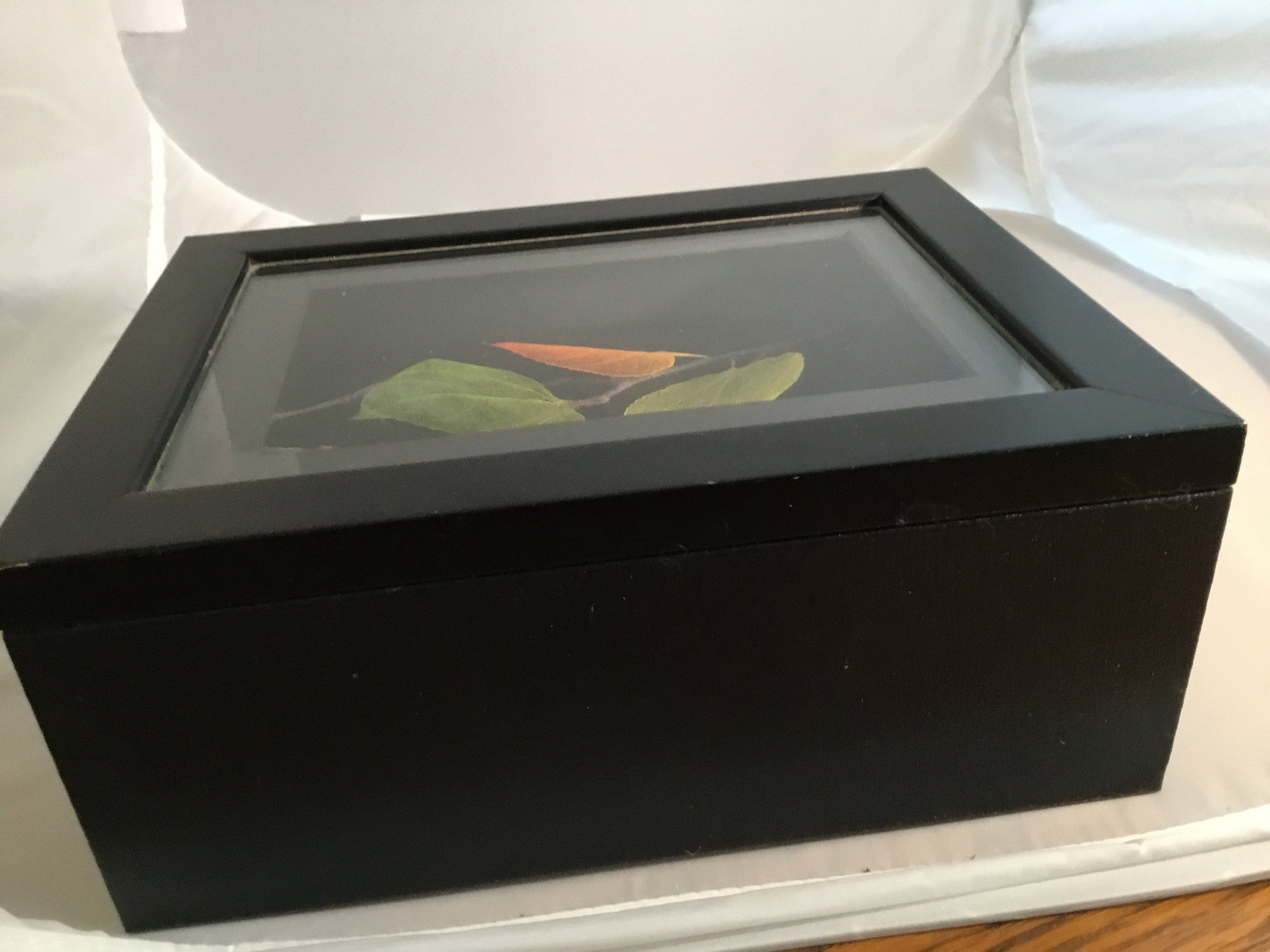Booker Morey Leaf Lines Signed Jewelry/art Box W/ 3D Aspen Leaf Framed Shadowbox Lid 1997 - Etsy