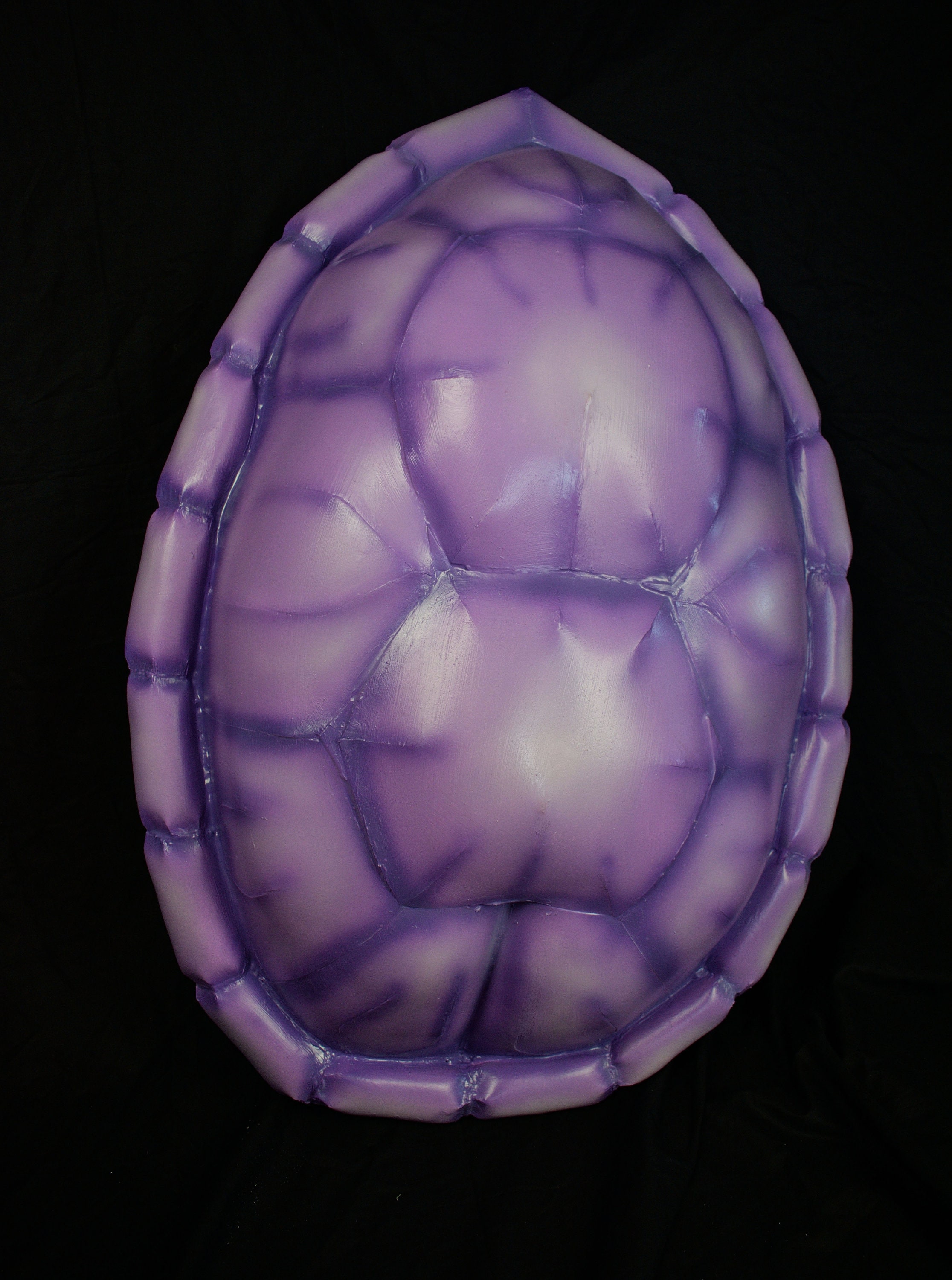 Master Muten's Turtle Shell and Stick - Etsy