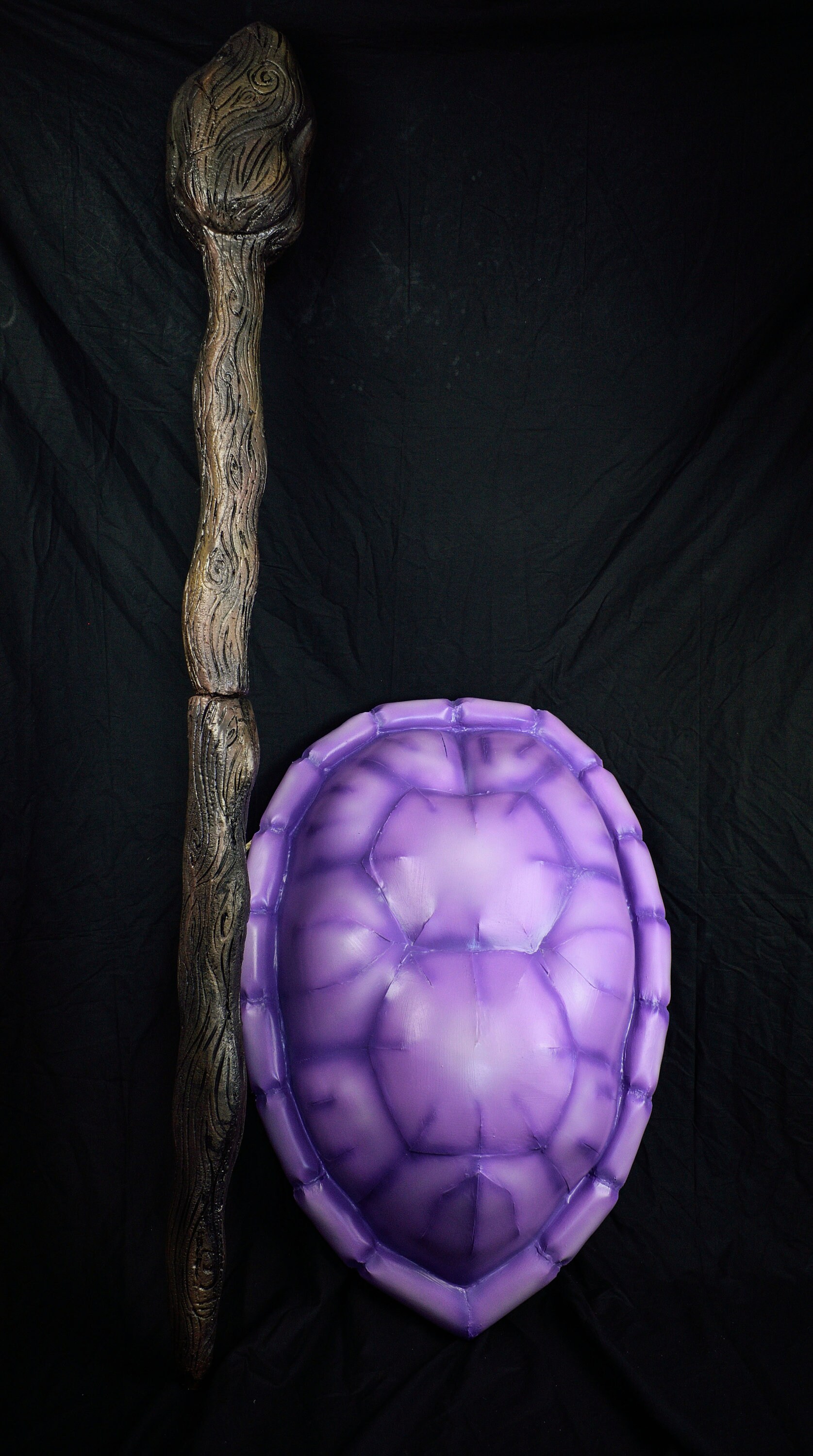 Master Muten's Turtle Shell and Stick - Etsy