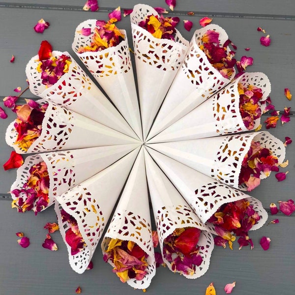 Lace Cones - Etsy