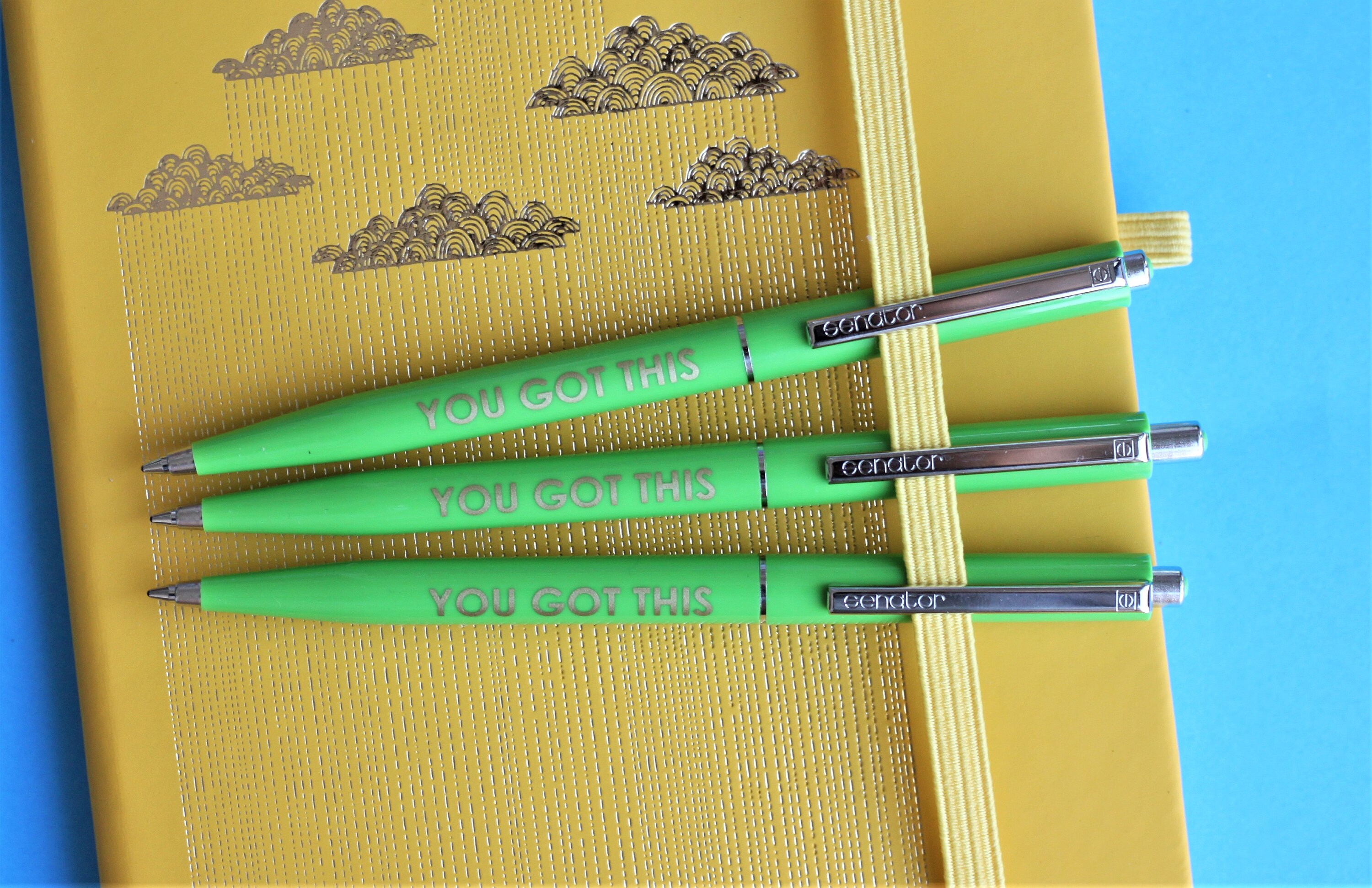 You Got This Green Pen, Motivational Pen, Good Luck Gift, New Job Gift ...