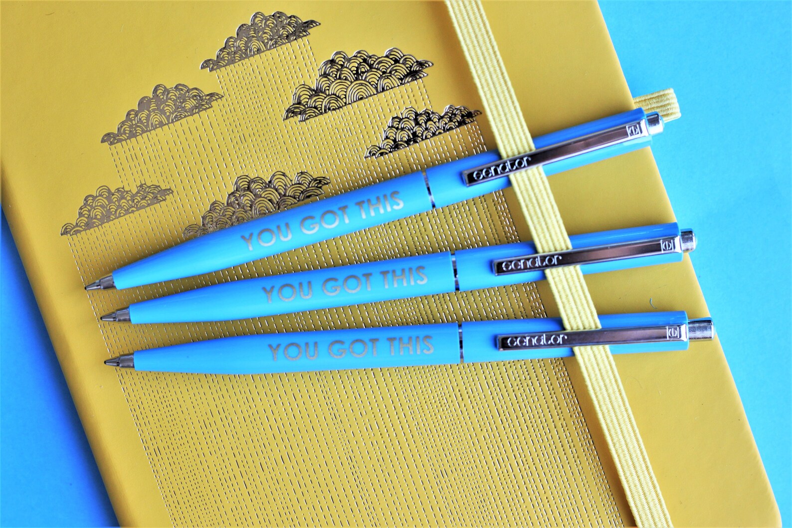 You Got This Blue Pen, Motivational Pen, Gift for Her, Gift for Boss ...