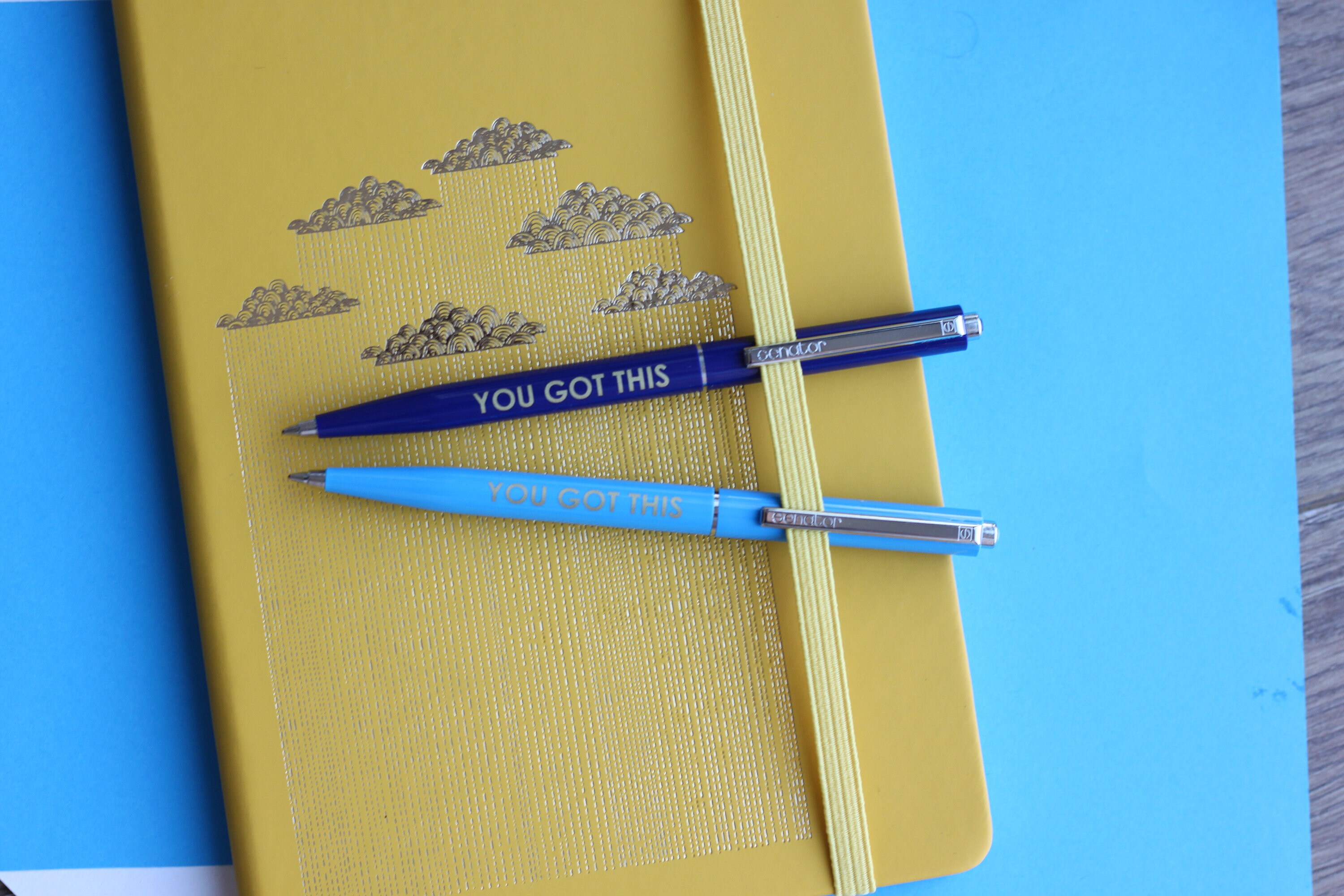 You Got This Blue Pen, Motivational Pen, Gift for Her, Gift for Boss ...