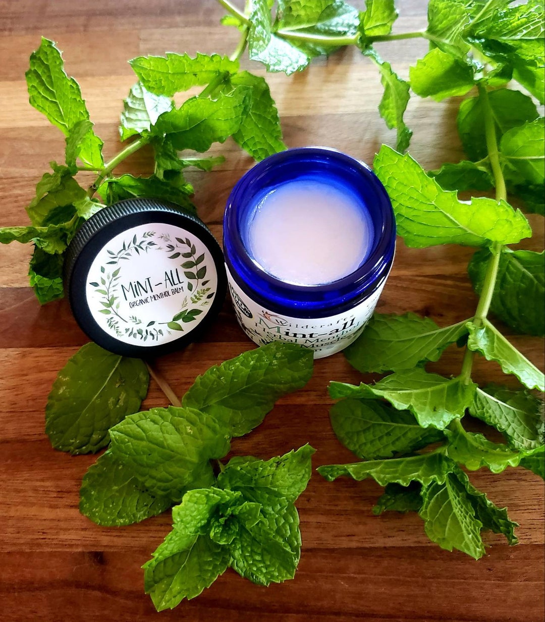 Mint All Organic Herbal Sore Muscle Aromatherapy Menthol Balm - Etsy