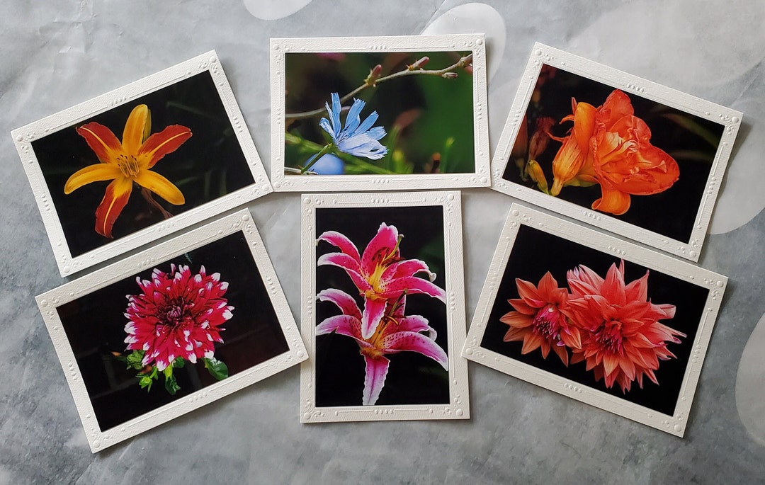 6 Floral Greeting Cards - Etsy