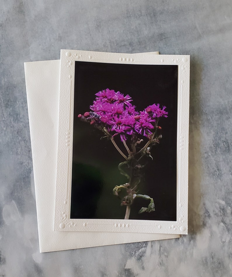 6 Photo Flower Note Cards With Matching Envelopes - Etsy