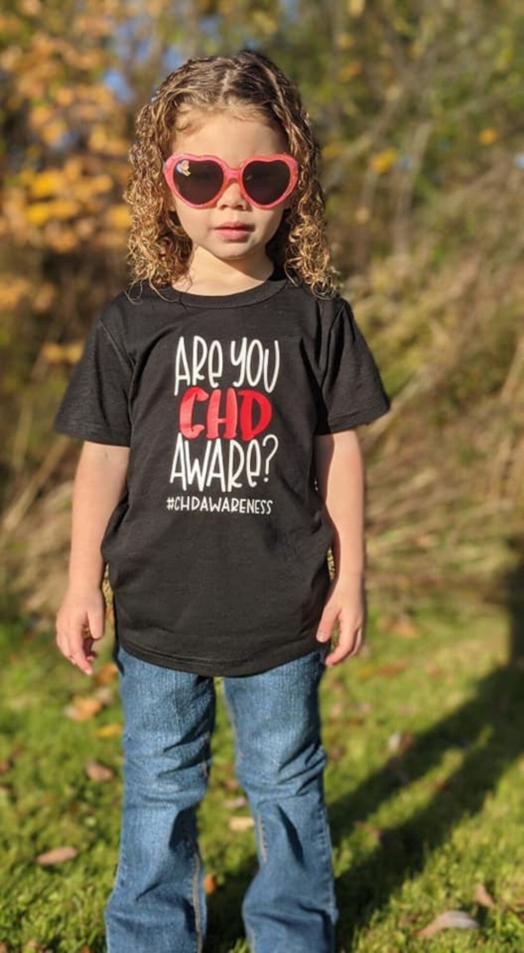 CHD AWARENESS | CHD Shirt | Heart Warrior| Chd Fighter | Are You Chd ...