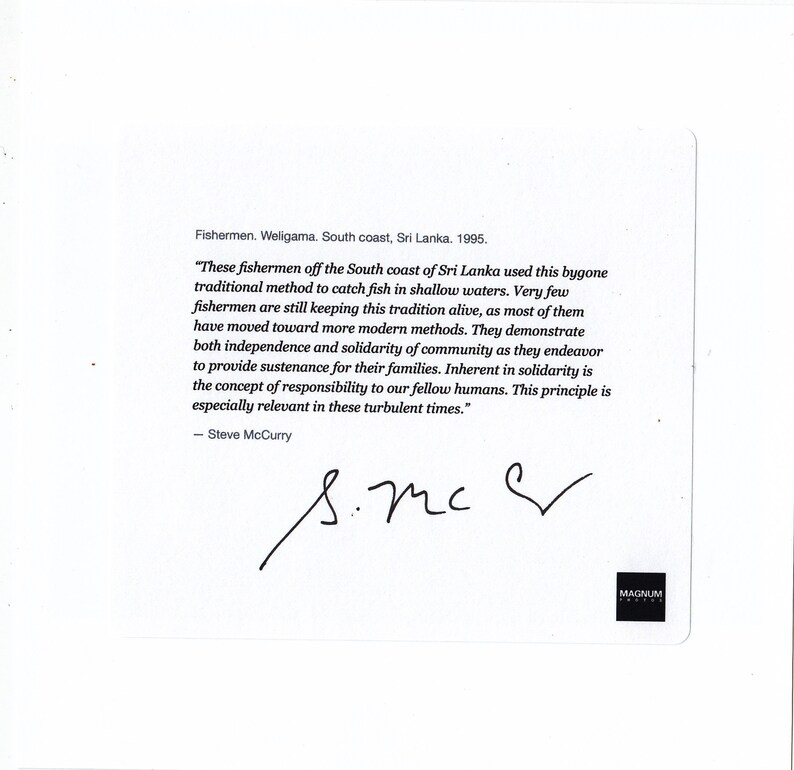 Steve Mccurry Original Signed Photo, National Geographic Nature Photographer. Print is Hand ...