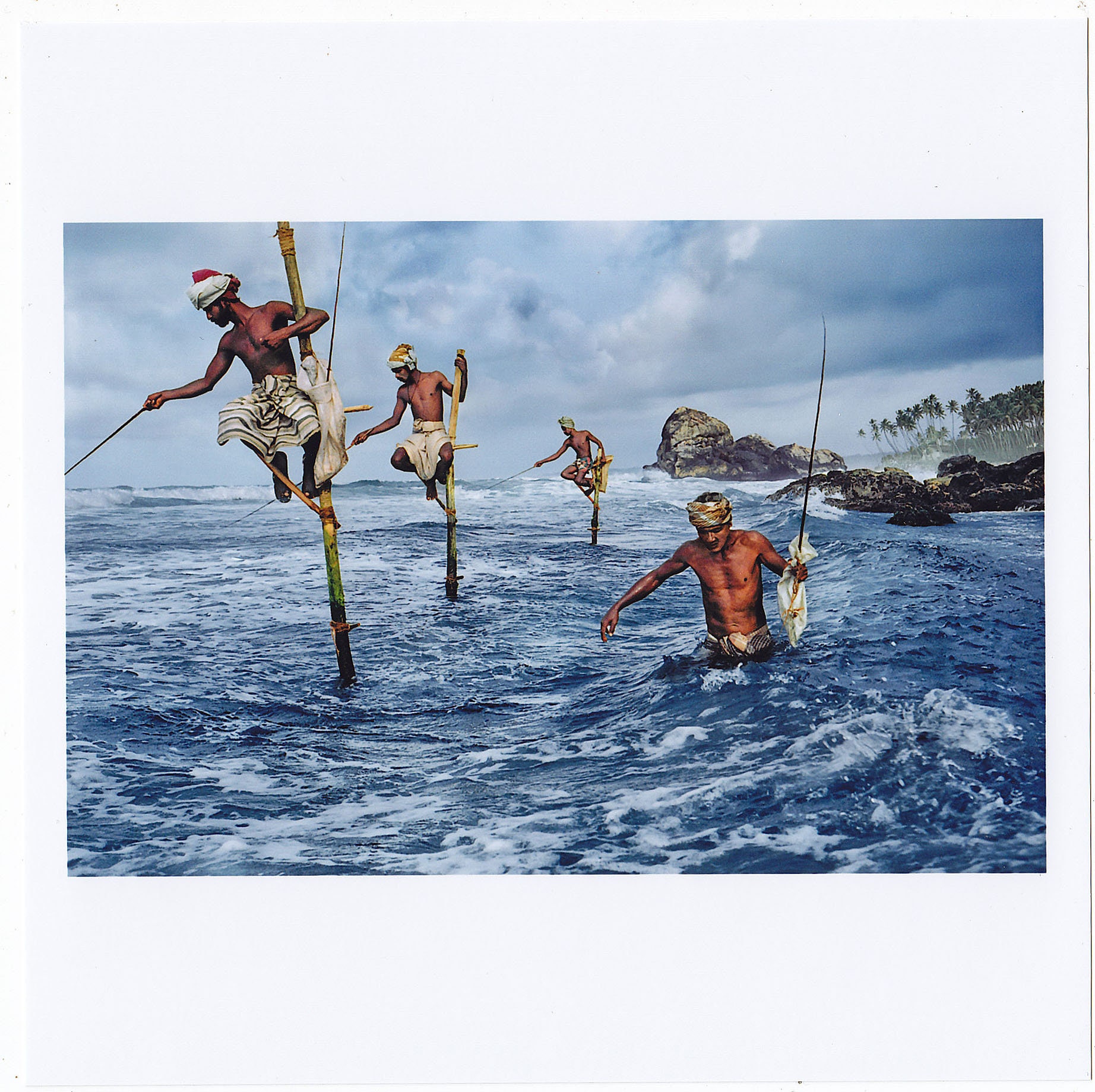 Steve Mccurry Original Signed Photo, National Geographic Nature Photographer. Print is Hand ...