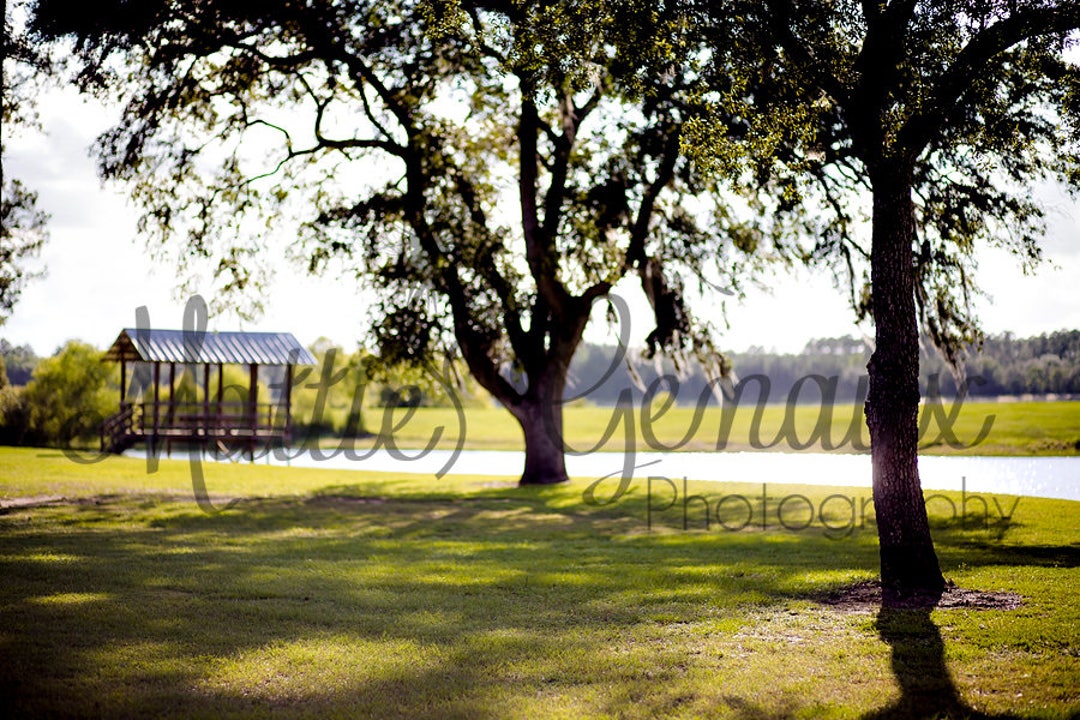 Lakeside Digital Backdrop - Etsy