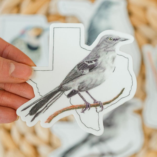Northern Mockingbird - Etsy