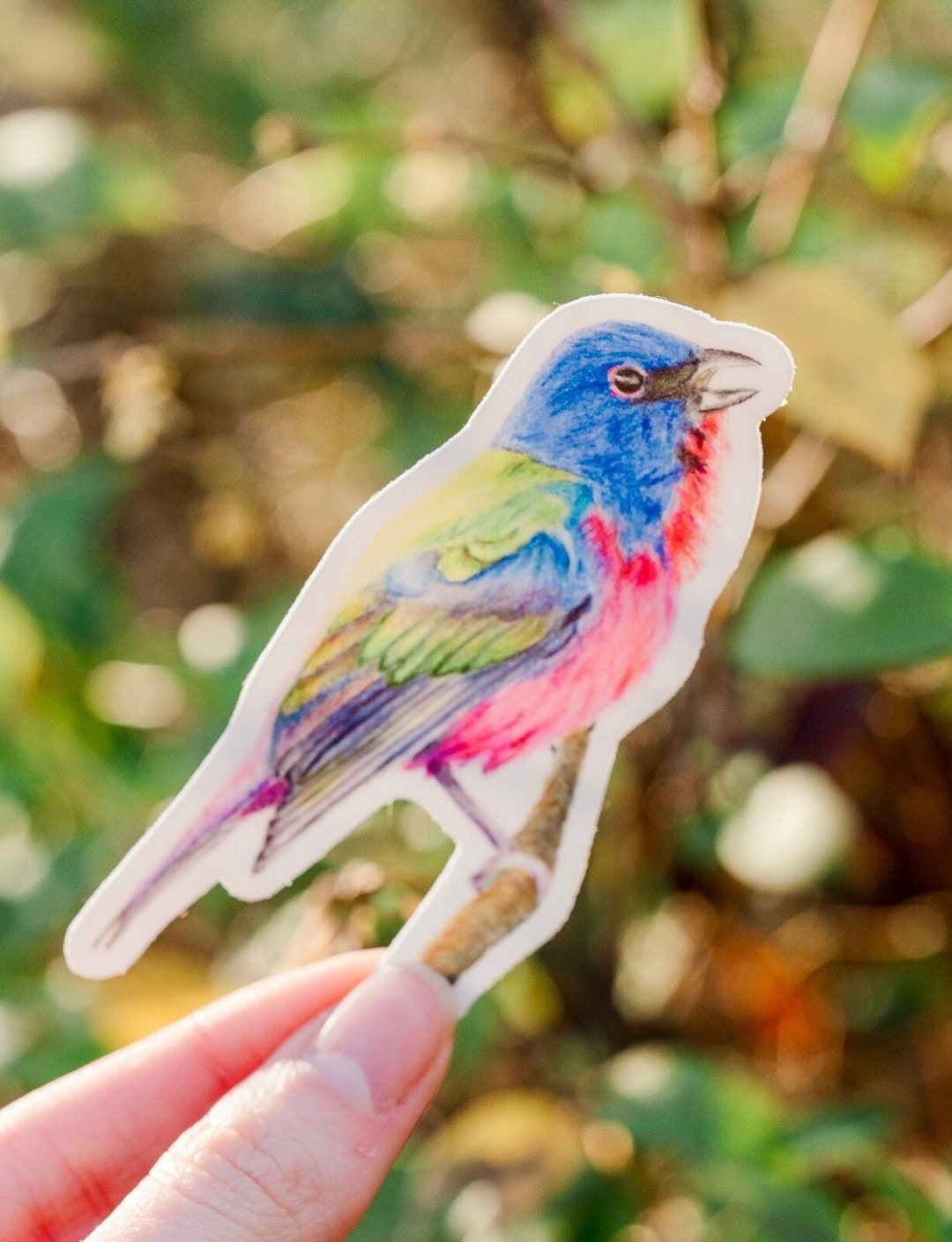 Colorful Bird Sticker Backyard Bird Sticker Birdwatcher Waterproof ...