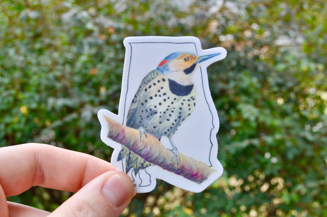 Yellowhammer Alabama State Bird Sticker Backyard Bird Sticker ...