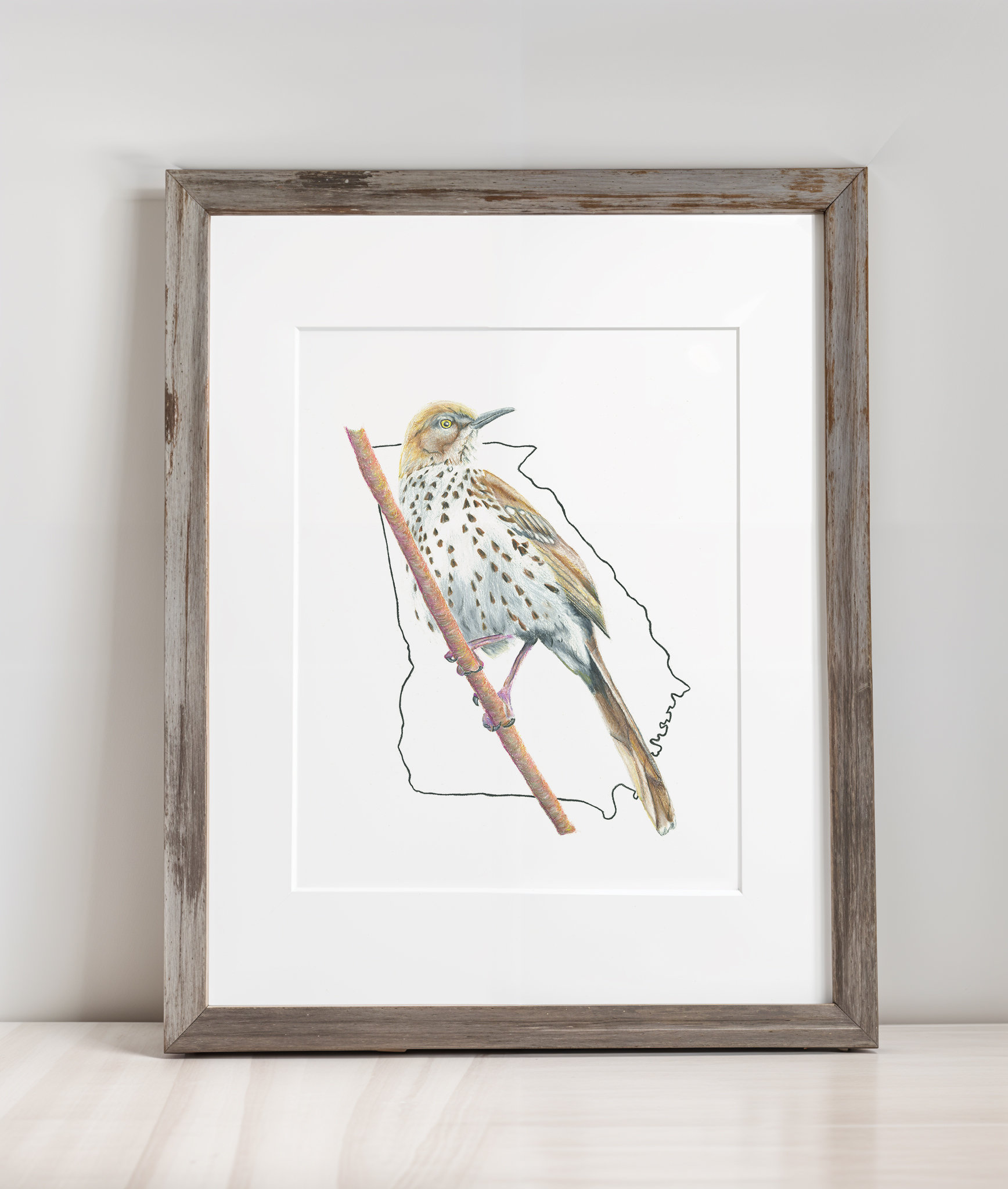 Georgia State Bird Art Print for Living Room Nursery Gallery Wall Print ...