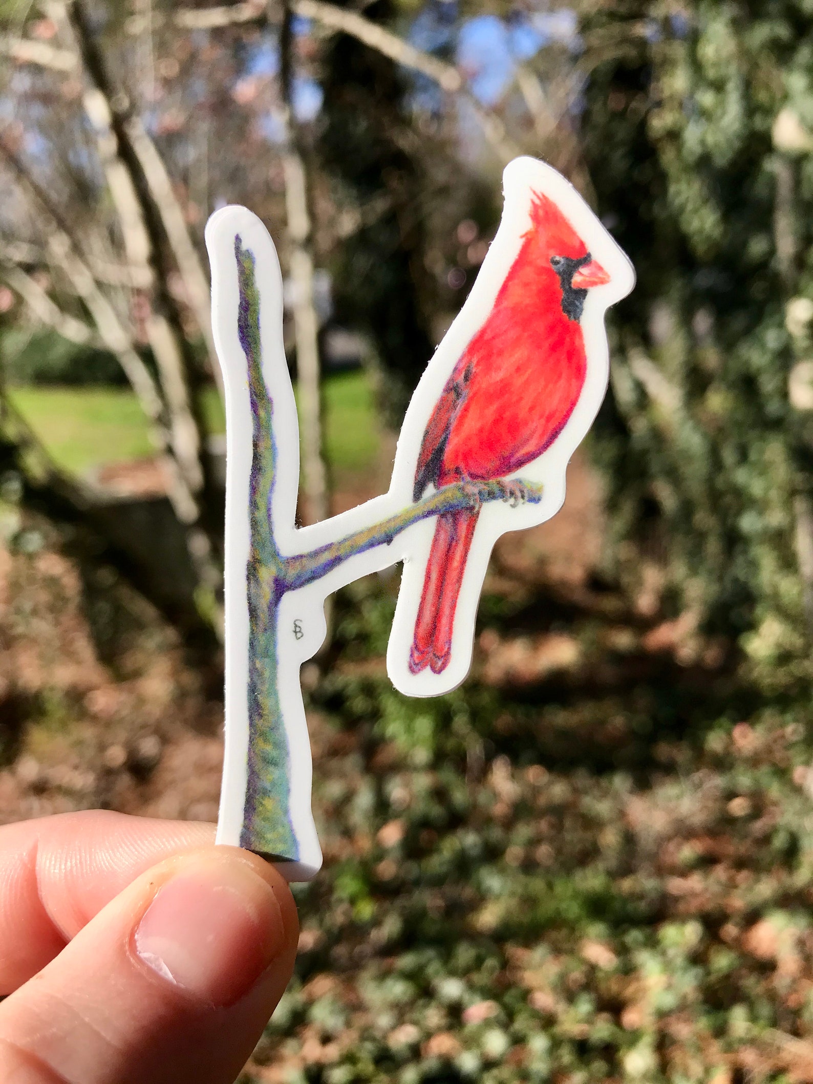 Vinyl Bird Sticker Wall Decal Red Bird: Northern Cardinal - Etsy