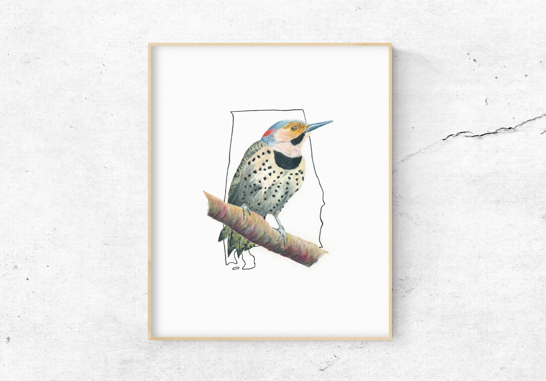 Alabama State Bird, Outdoor Print, Bird Art: Northern Flicker - Etsy