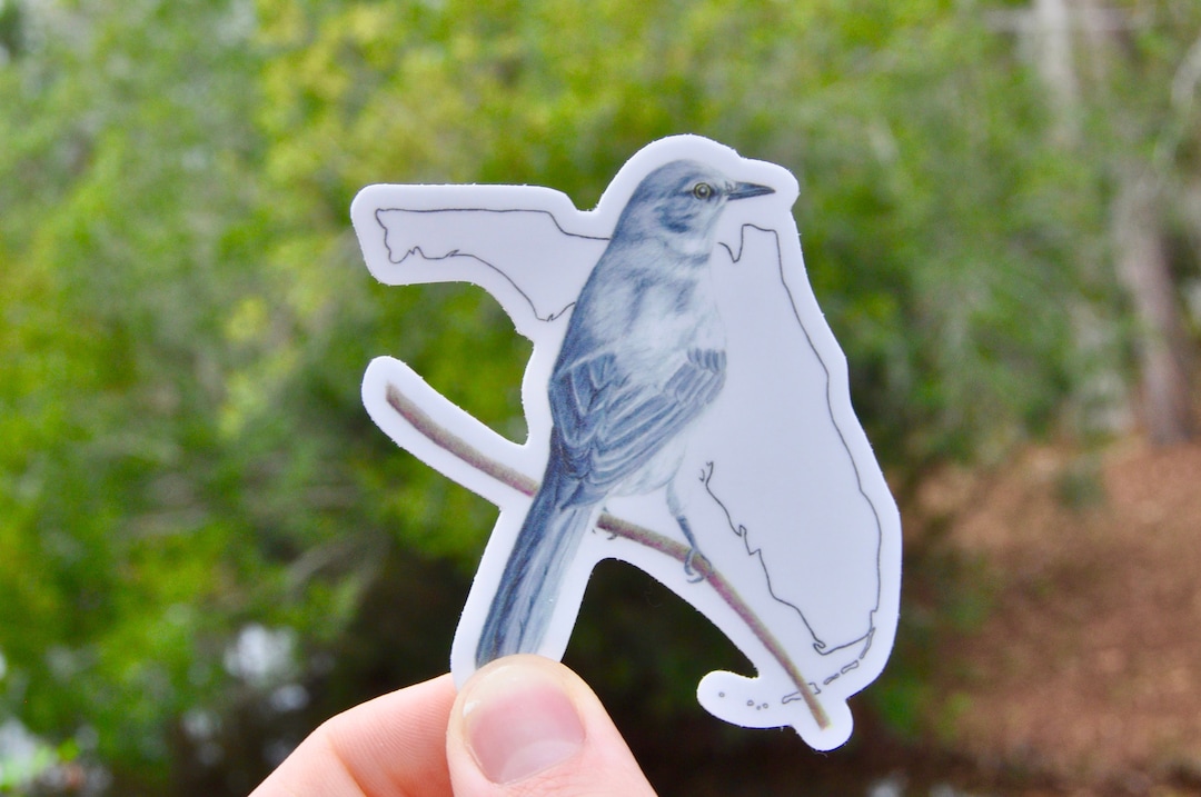 Florida State Bird Sticker Backyard Bird Sticker Birdwatcher Waterproof ...