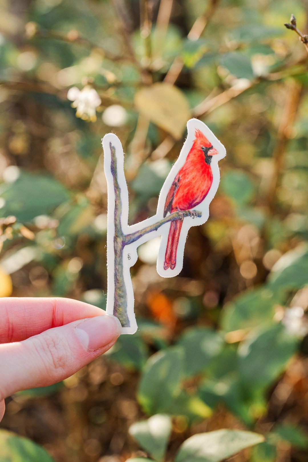 Red Cardinal Bird Sticker Backyard Bird Sticker Birdwatcher Waterproof ...
