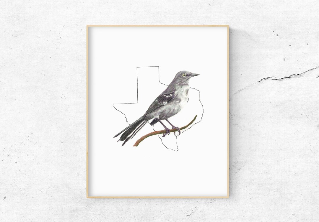 Texas State Bird Outdoor Print Bird Art: Northern - Etsy