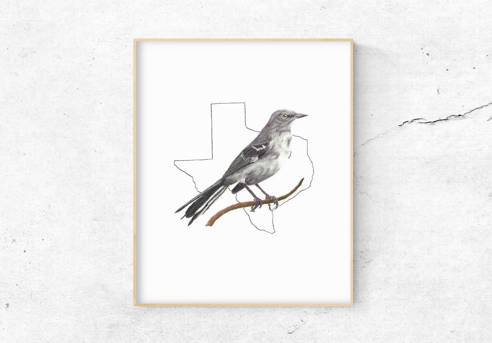 Texas State Bird Outdoor Print Bird Art: Northern - Etsy