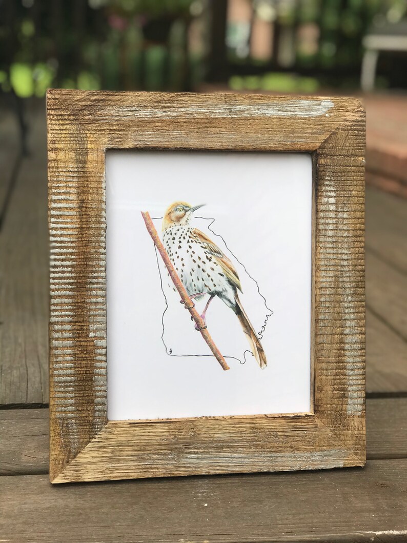 Georgia State Bird Art Print for Living Room Nursery Gallery Wall Print ...