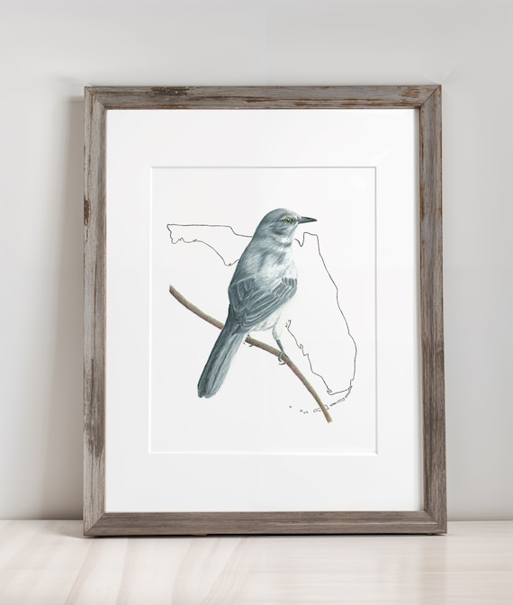 Florida State Bird Drawing