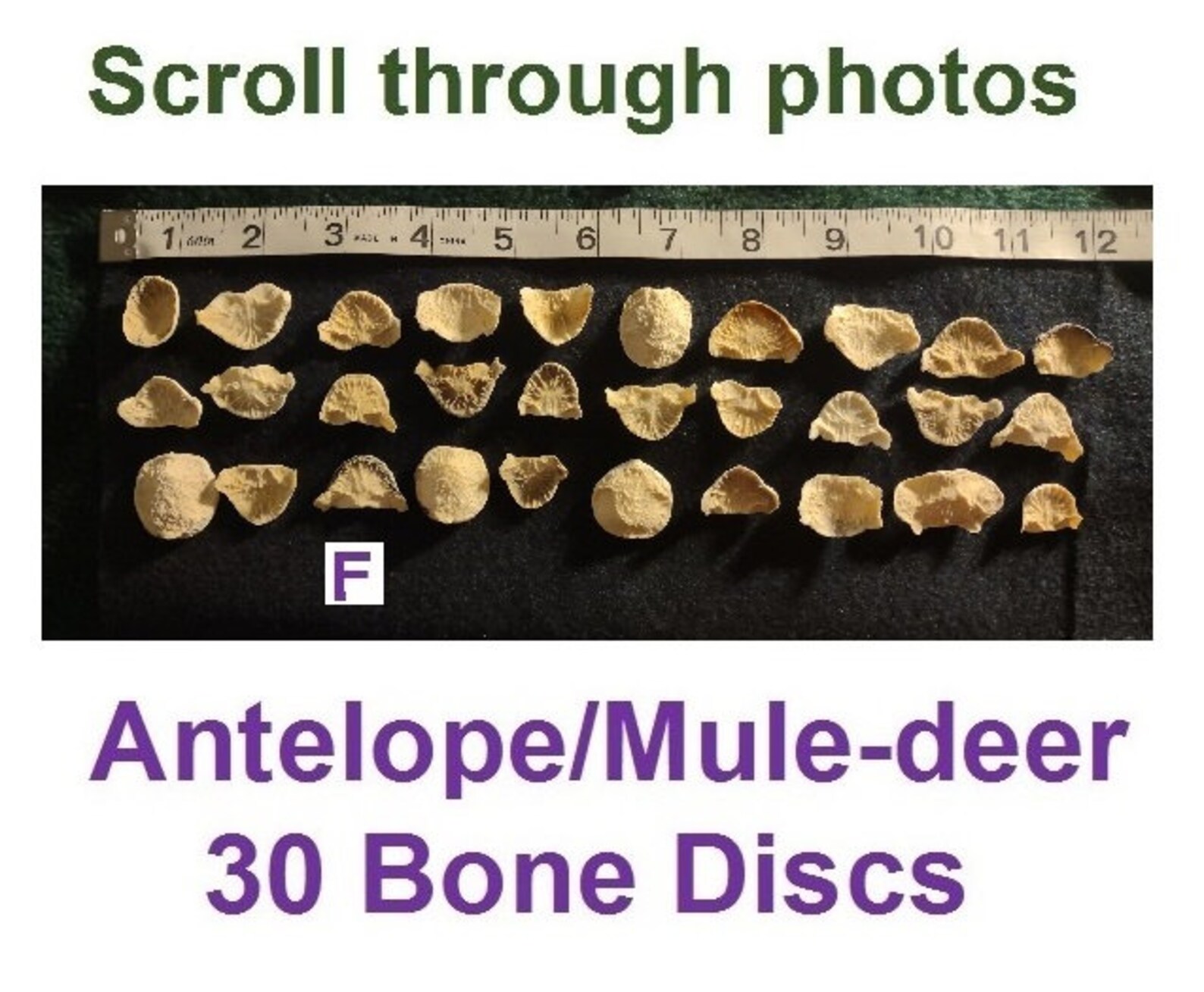 Quantity Price Small Bones for Jewelers/costume Designers. - Etsy