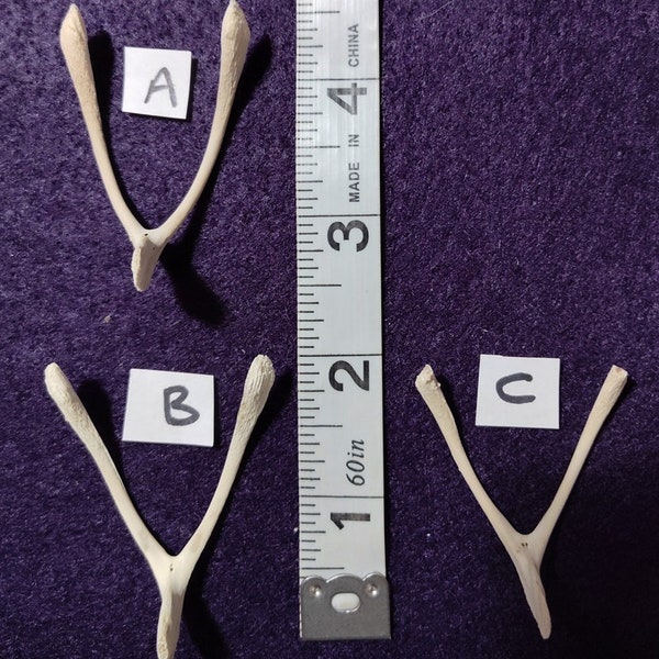 Real Wishbone - Etsy