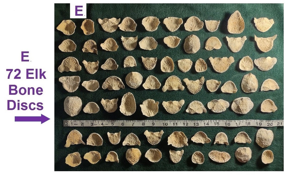 Quantity Price Small Bones for Jewelers/costume Designers. - Etsy