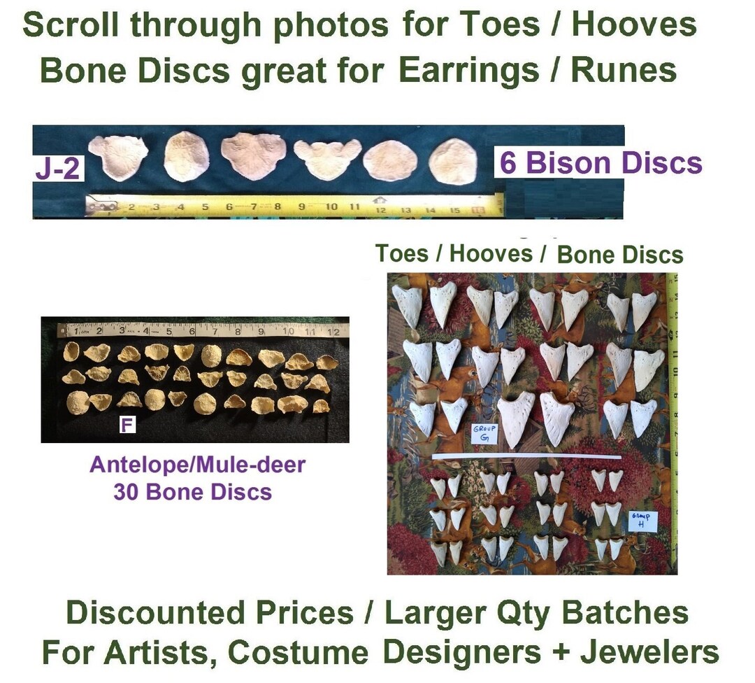 Quantity Price Small Bones for Jewelers/costume Designers. Bone Discs ...