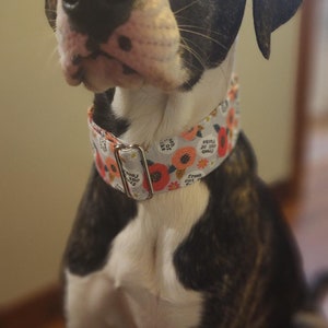 Dog Collar/fresh Out of Fus Dog Collar/ Flower Dog Collar/ Cussing Dog ...