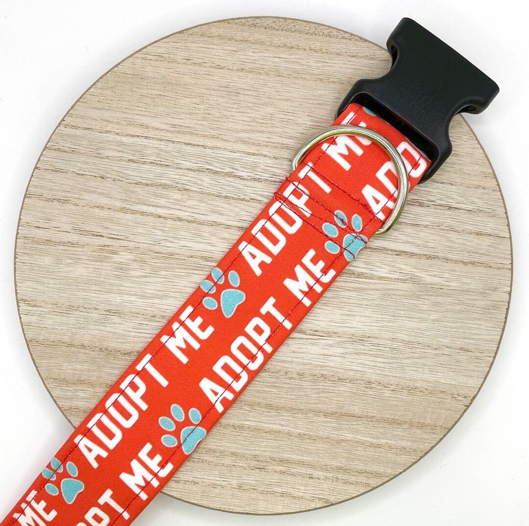 Dog Collar/ Adopt Me Dog Collar/ Shelter Dog Collar/ Red Dog - Etsy