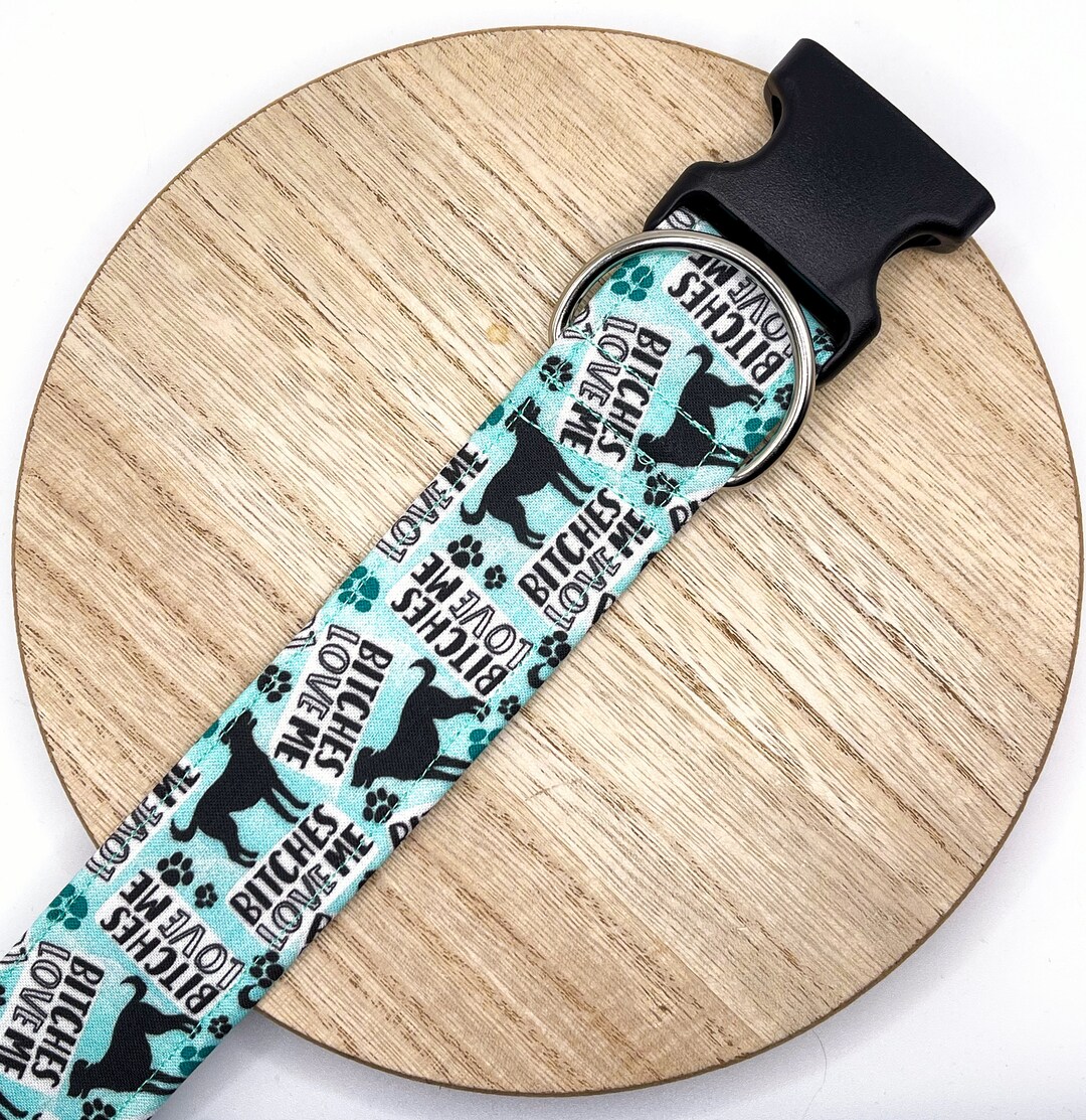 Dog Collar/ Btches Love Me Dog Collar/ Funny Dog Collar/ Cussing Dog ...