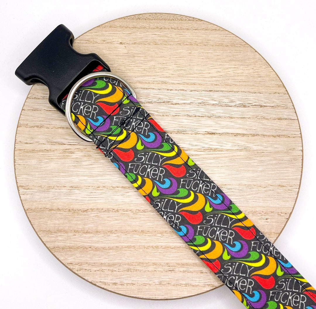 Dog Collar/ Silly Fcker Dog Collar/ Cussing Dog Collar/ Swear Dog ...