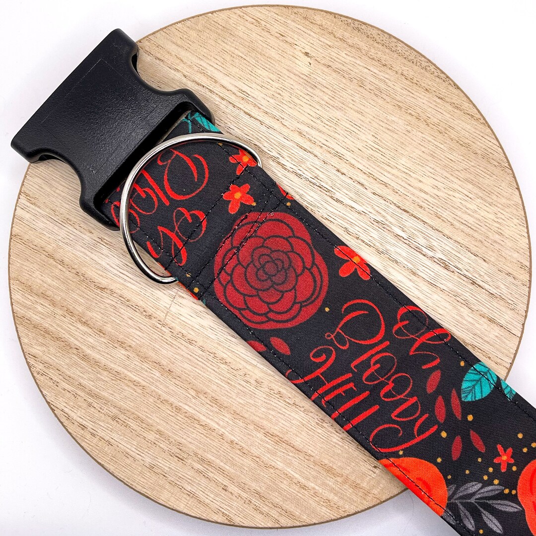 Dog Collar/ Oh Bloody Hell Dog Collar/ Funny Dog Collar/ Cussing Dog ...