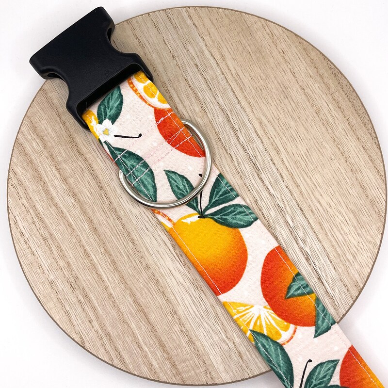 Spring Dog Collar - Etsy