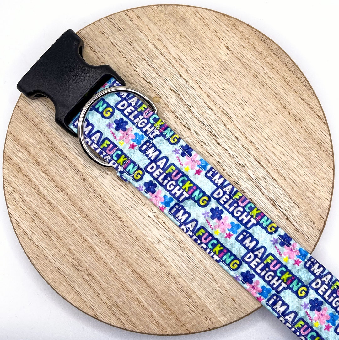 Dog Collar/ I'm a Fcking Delight Dog Collar/ Funny Dog Collar/ Cussing ...