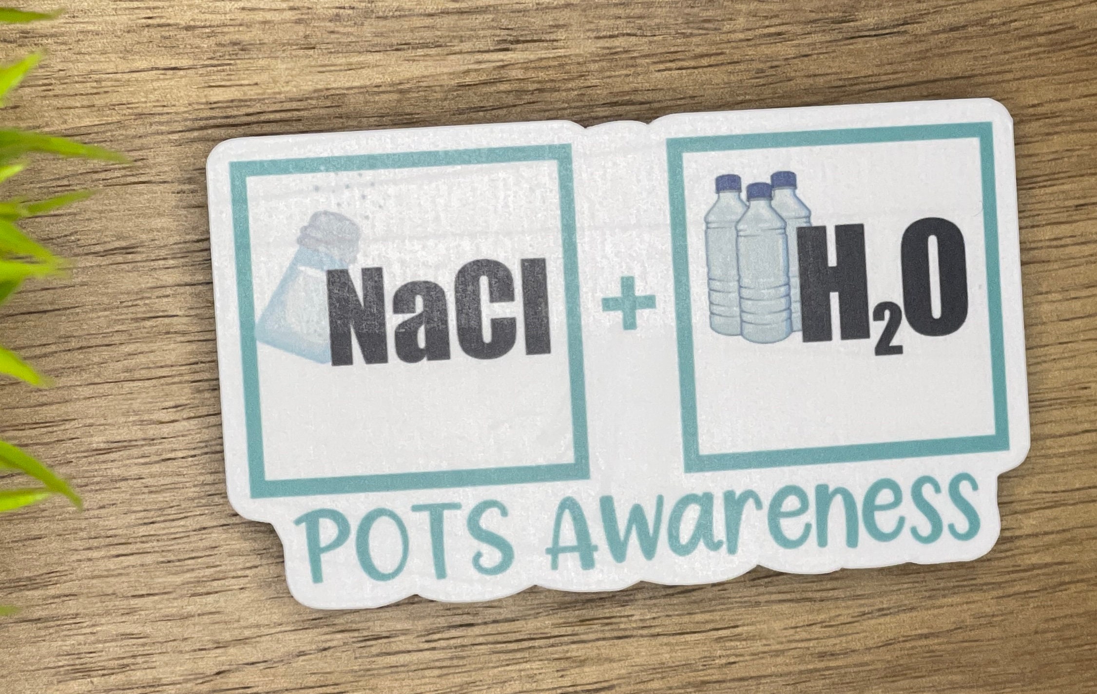 Nacl H20, Invisible Illness, Pots Awareness, Dysautonomia, Chronic ...