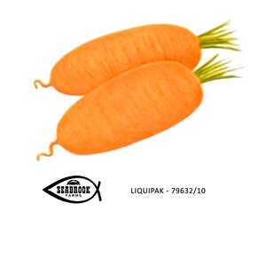 Space Carrots - Etsy