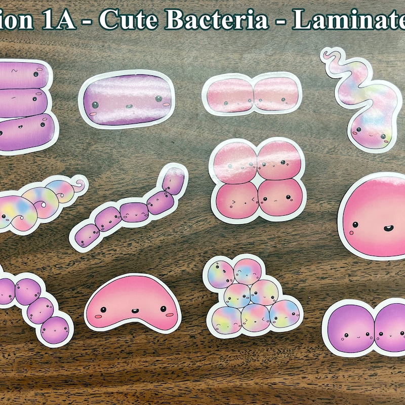 Biology Stickers - Etsy