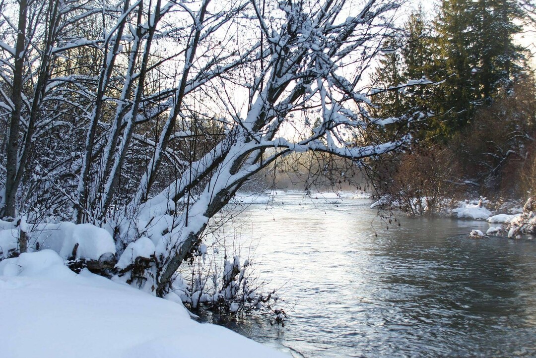 River Runs Deep - Etsy